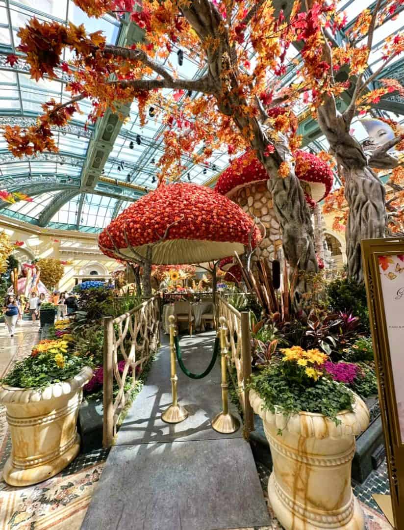 Thanksgiving In Las Vegas Things To Do - Vegas Right Now!