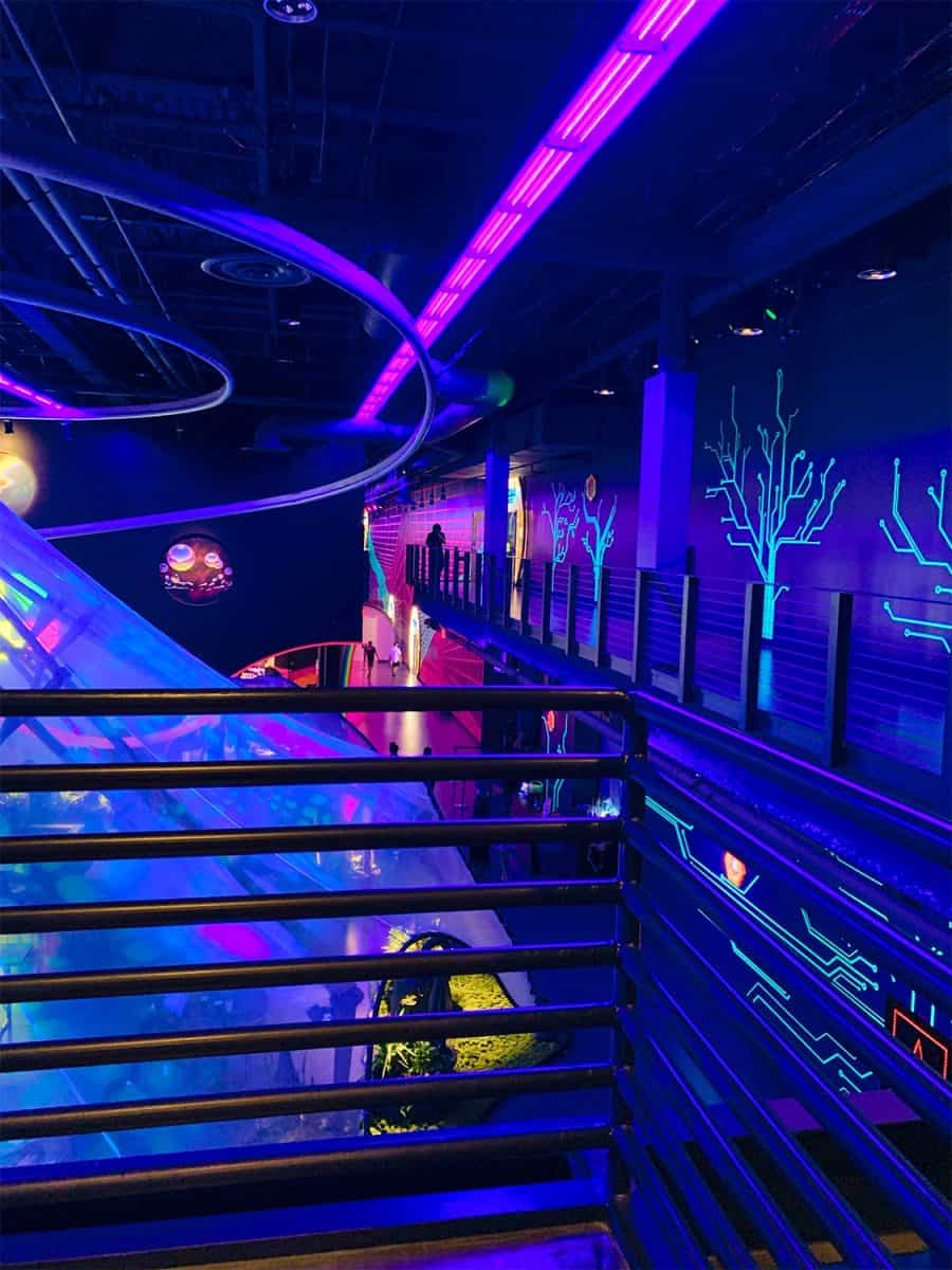 What Is Free To Do At Area15 Las Vegas? - Vegas Right Now!