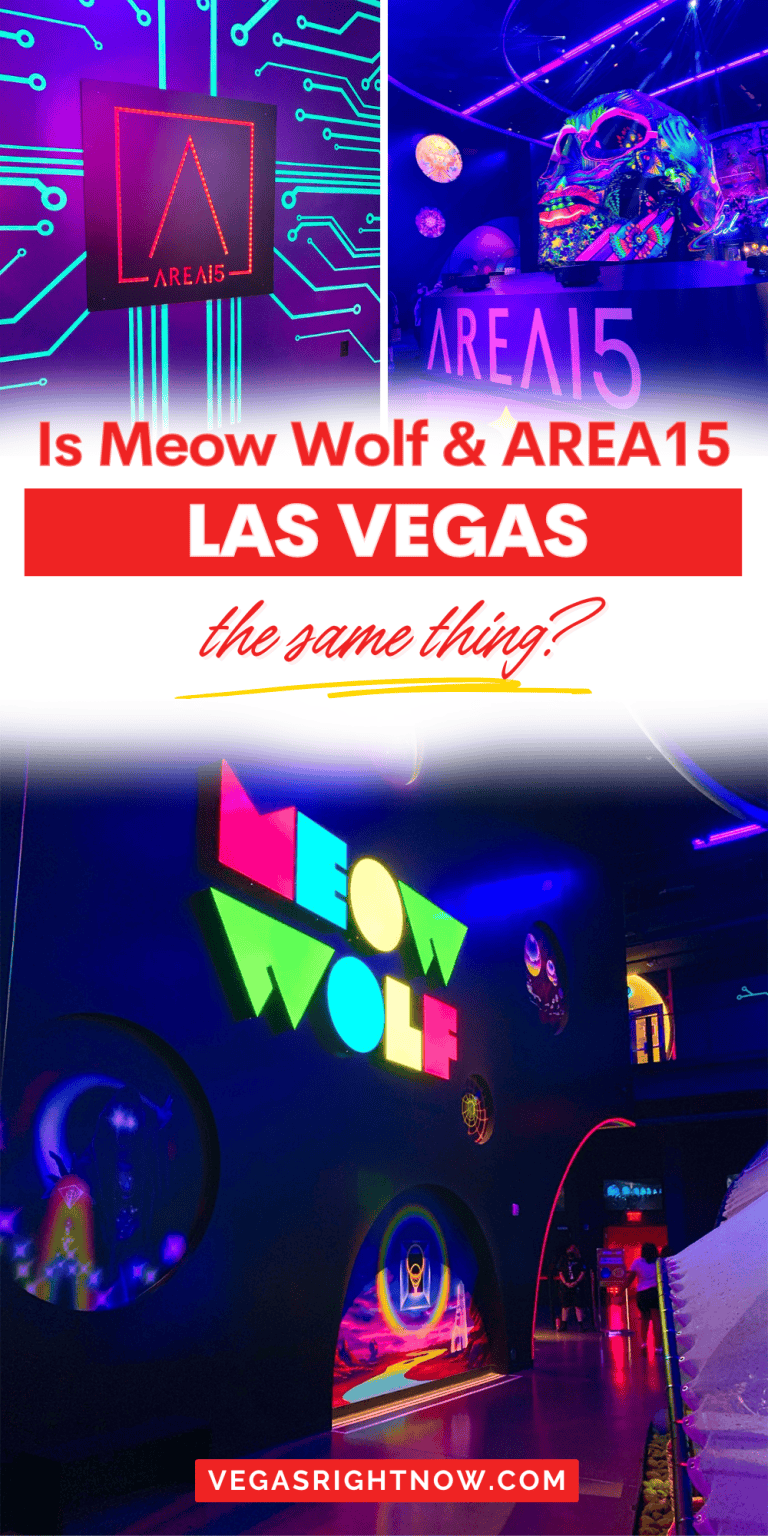 Is Meow Wolf And Area15 The Same Thing? - Vegas Right Now!